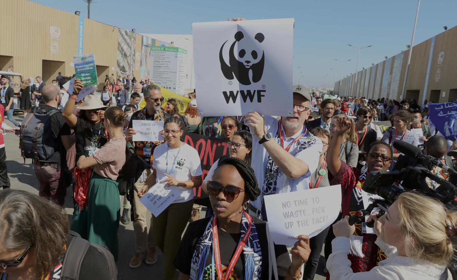COP 28: Valoración de WWF sobre el primer borrador del Balance Global ...
