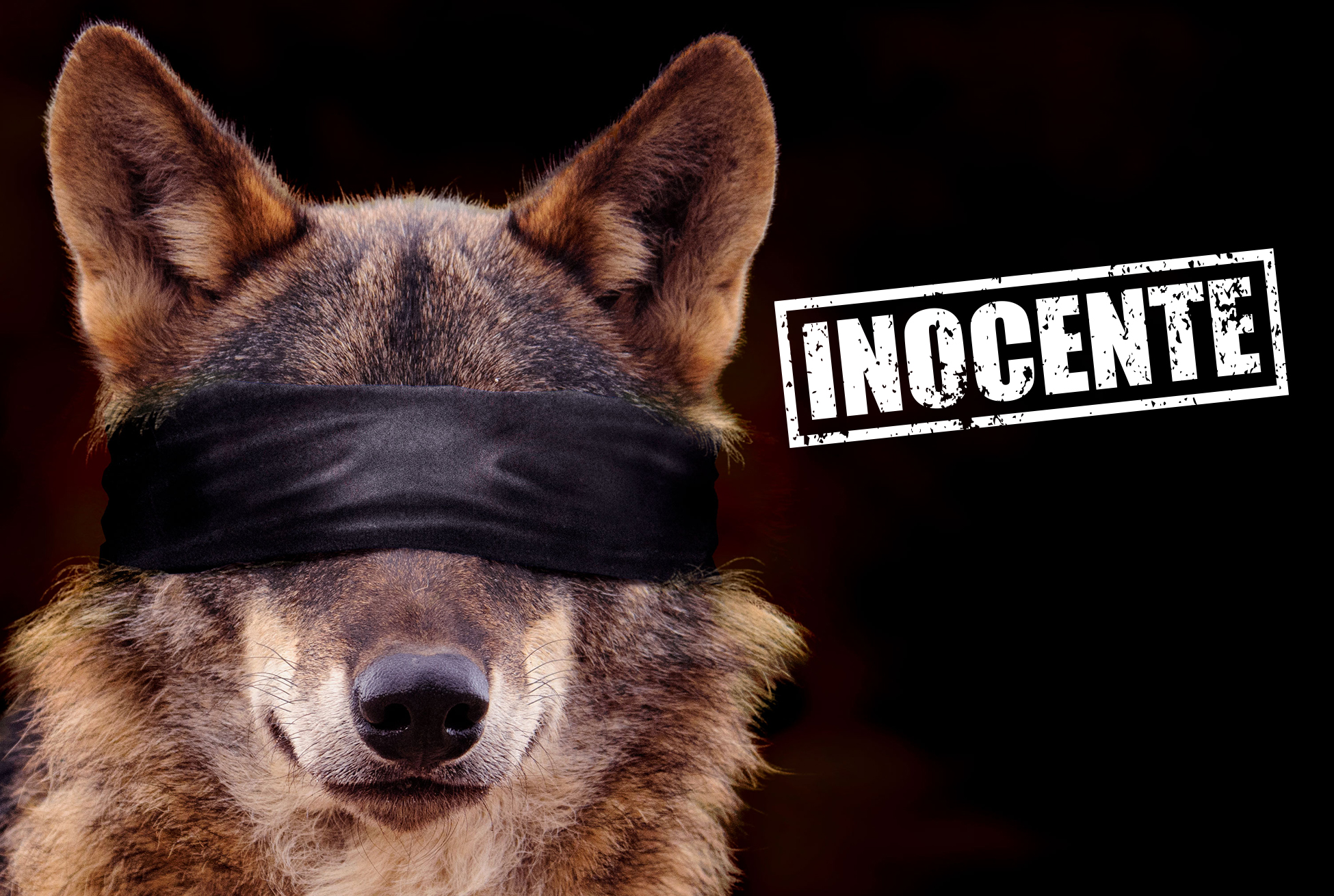 YO DEFIENDO AL LOBO | WWF España