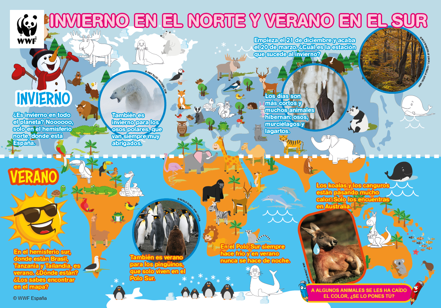 Hemisferio norte y hemisferio sur | WWF España