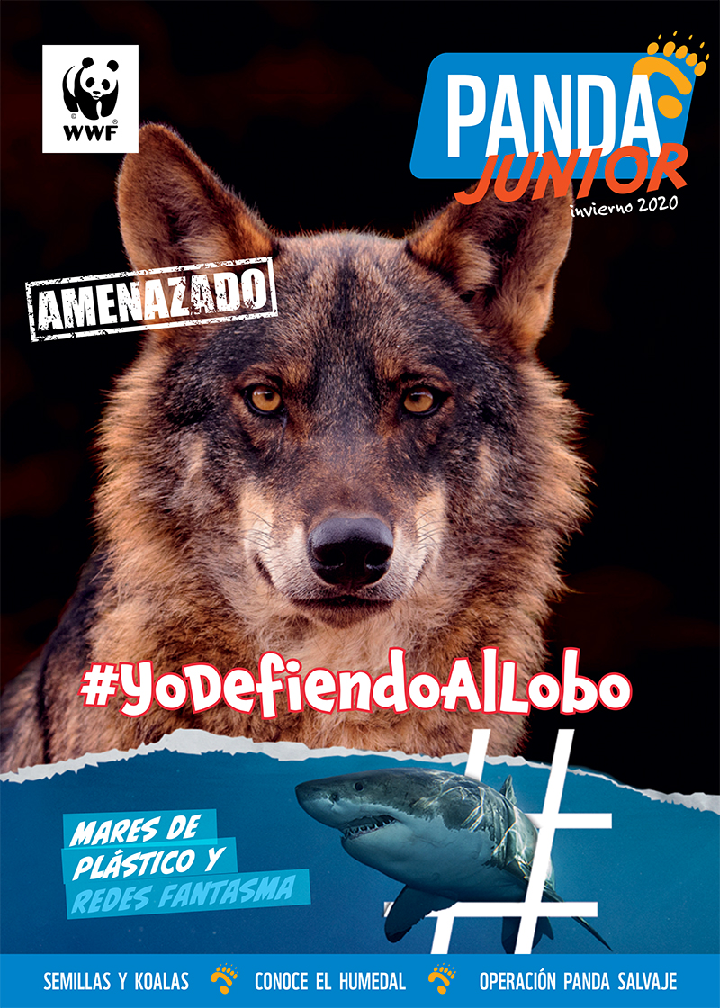 Panda Junior 43 | WWF España