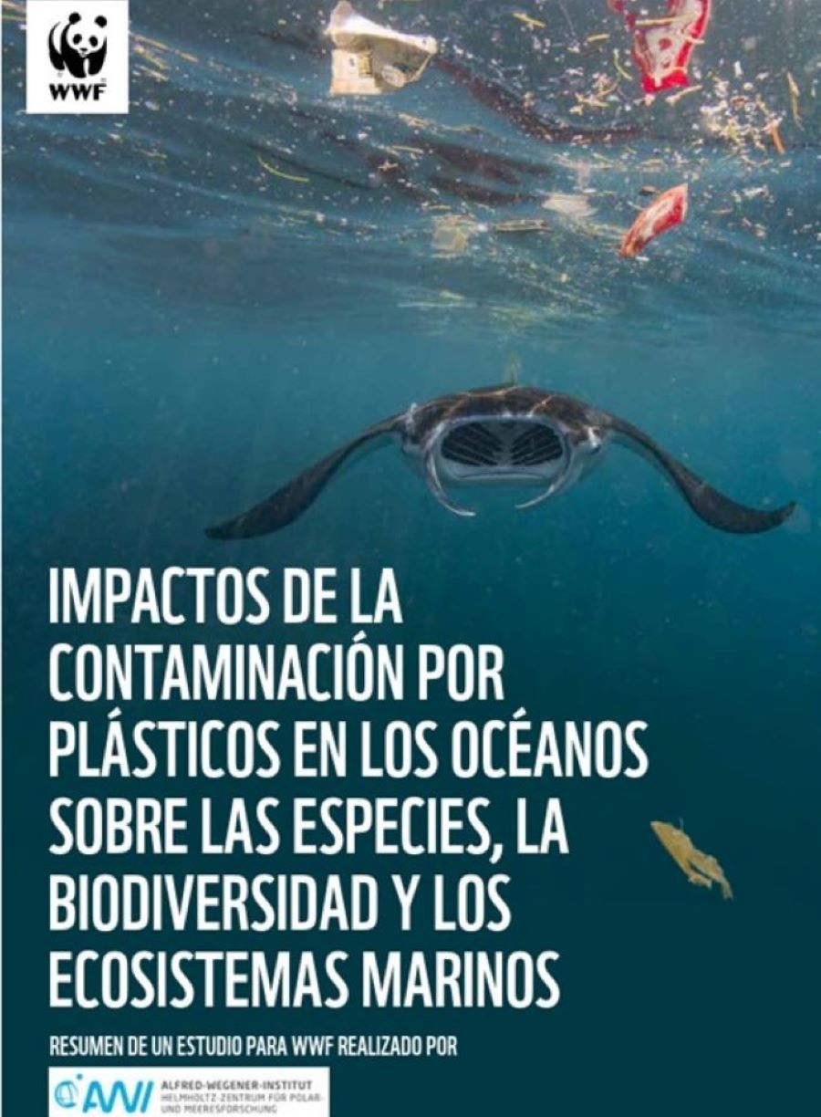 La contaminación por plásticos en el océano se cuadruplicará al 2050 ...