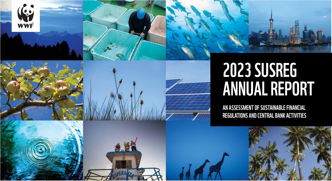 Informe 2023 sobre las Regulaciones Financieras Sostenibles y las ...