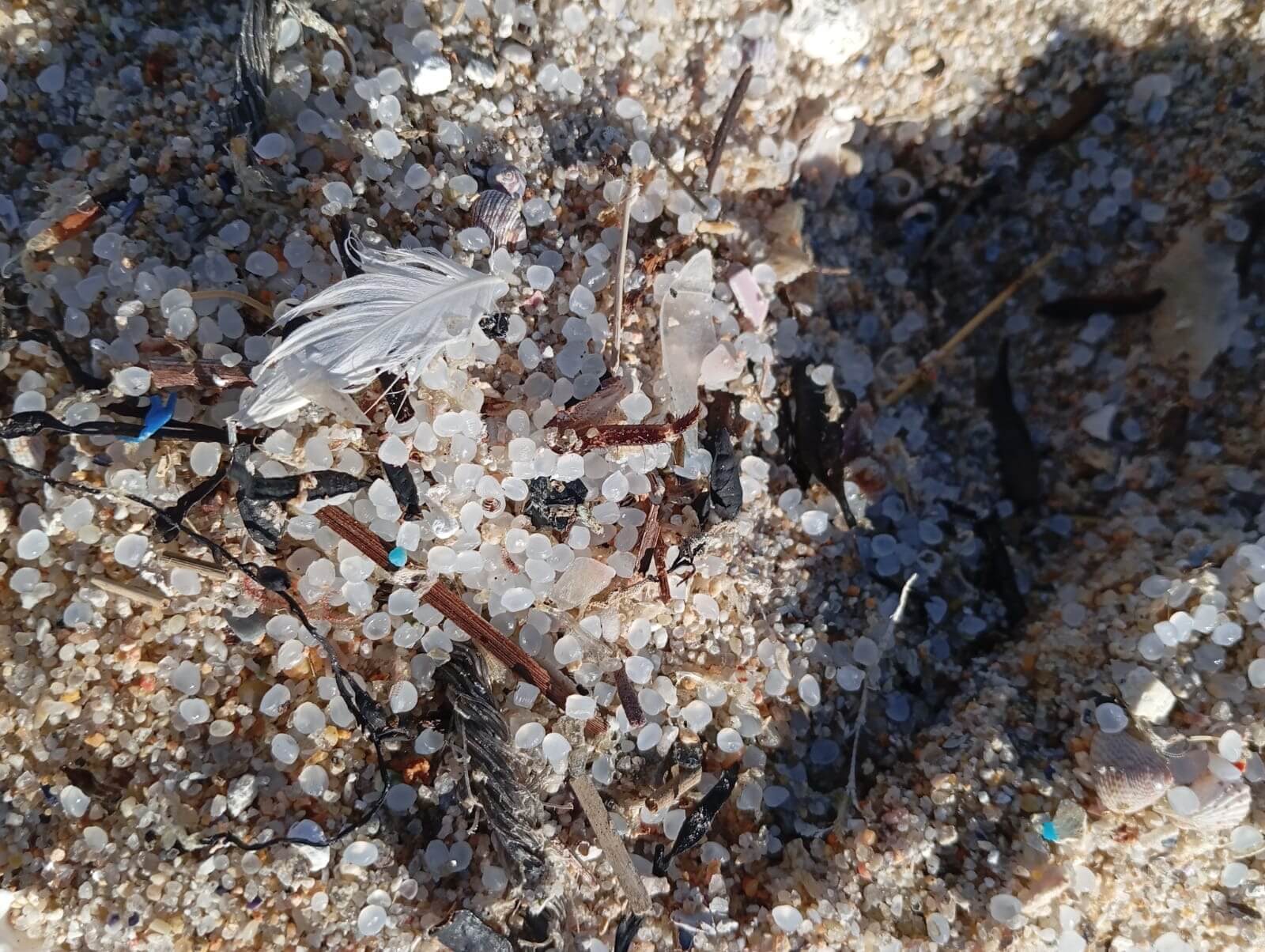 Reclamamos más coordinación en la respuesta y transparencia sobre su ...